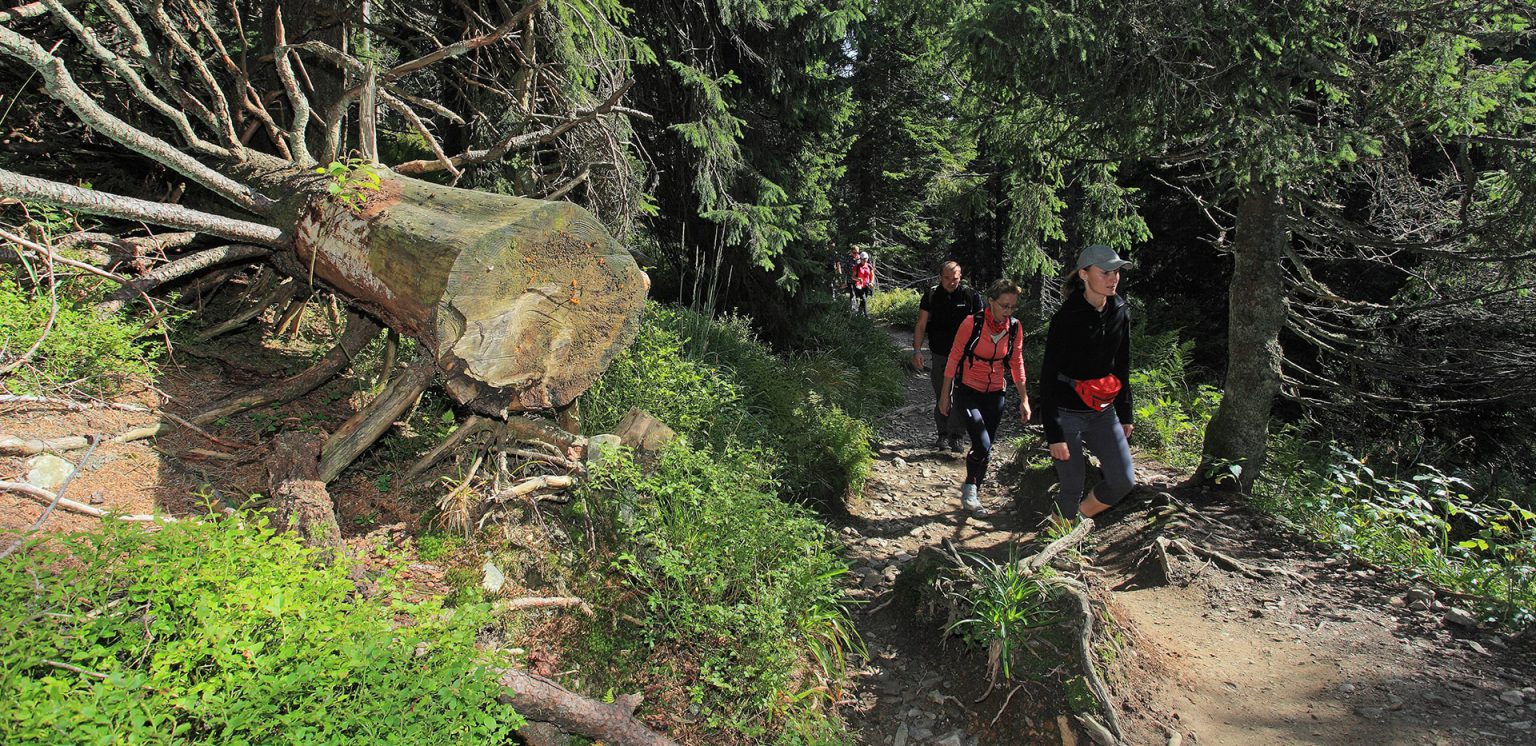 Naučná stezka Bílá Opava - Zažijte světový Moravskoslezský kraj